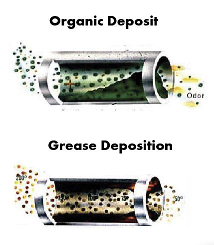Biological Drain Treatment | Specialty Cleaners | Industrial Supplies